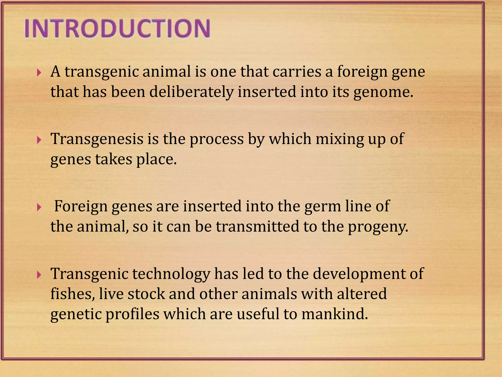 Transgenic Animals | PPT