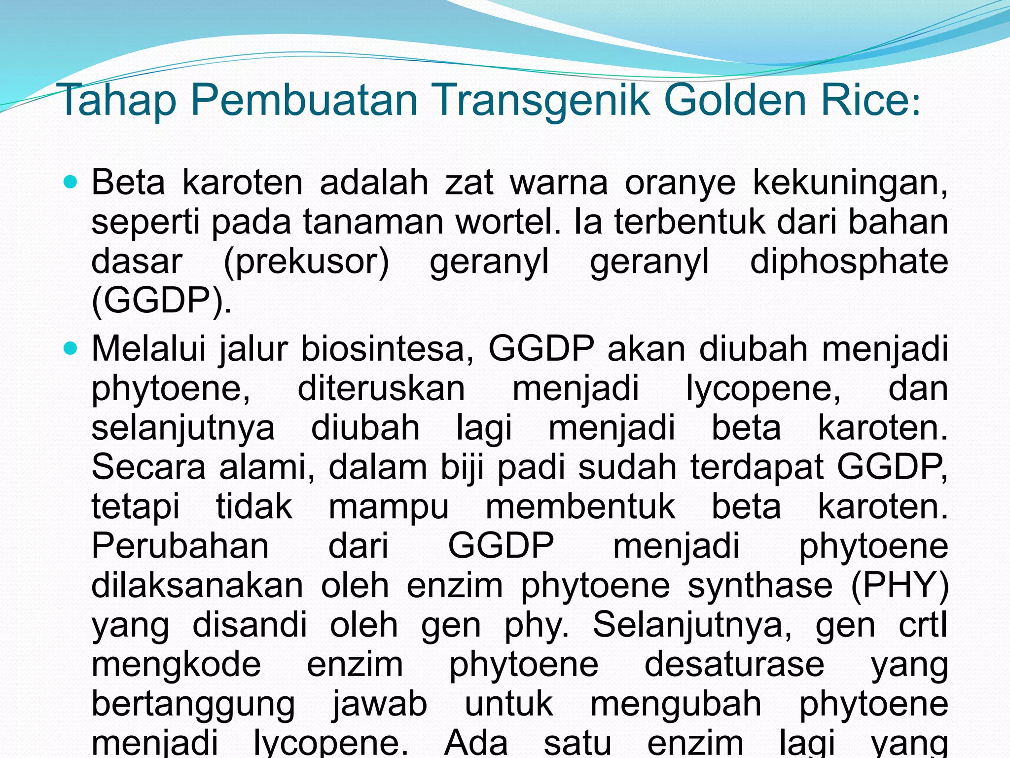 Transgenik ppt | PPTX