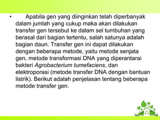 Transgenik ppt | PPTX