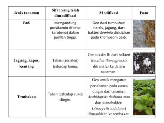 Transgenik ppt | PPTX