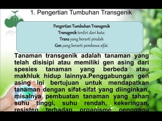 Transgenik ppt | PPTX