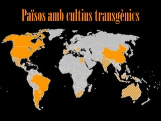 Transgènia | PPT