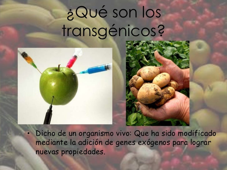 Transgenicos 1C