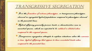 Transgressive segregation | PPT
