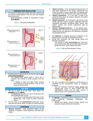 [TRANS] HES 029 - Lecture 3 (The Integumentary System).pdf
