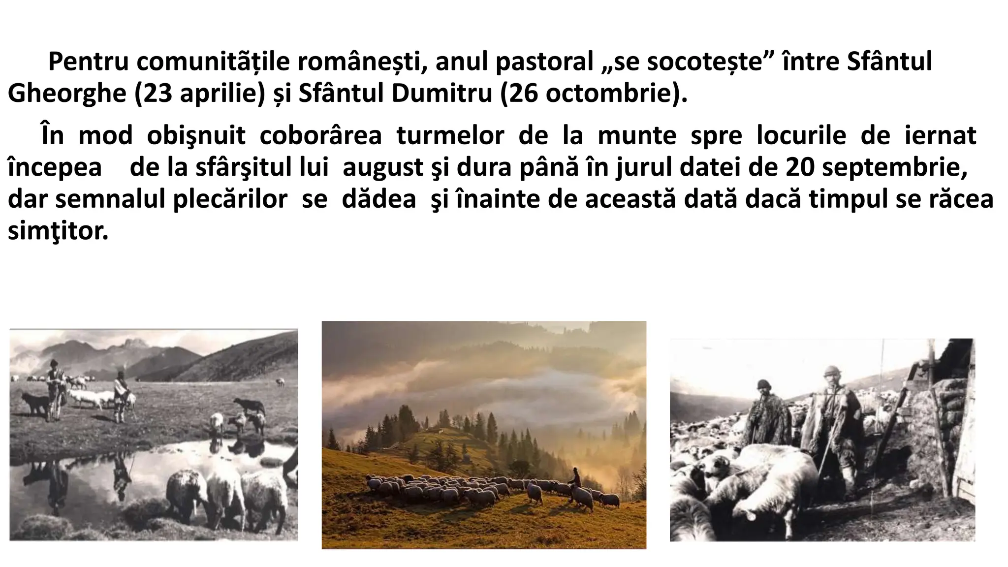 Transhumanta la români tradiție de secole.pptx