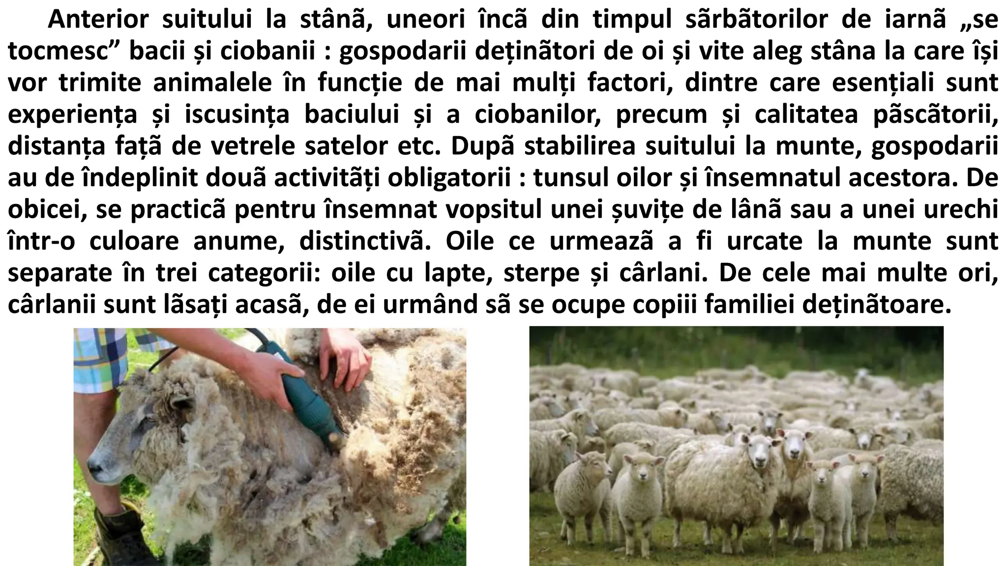Transhumanta la români tradiție de secole.pptx