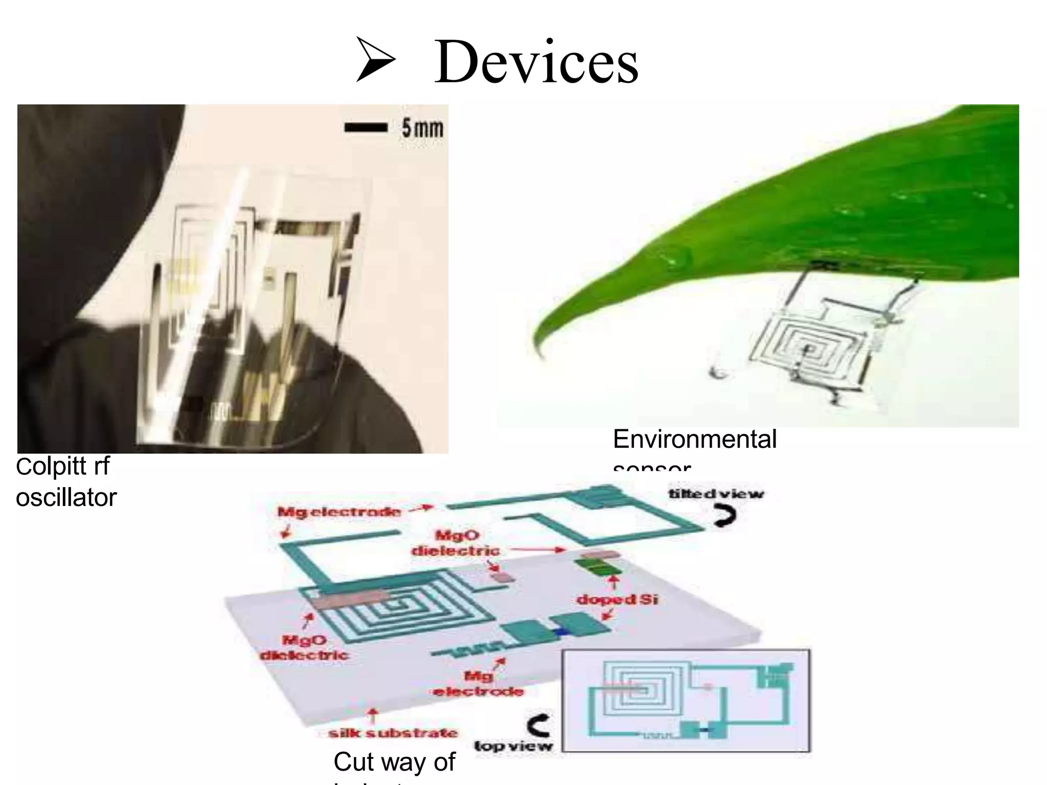transientelectronics-170920070624.pptx