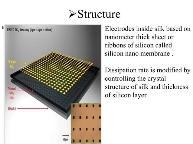 transientelectronics-170920070624.pptx
