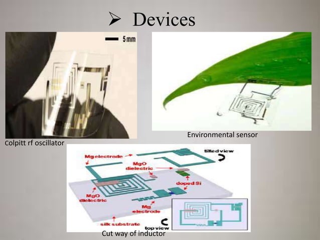 Transient electronics | PPT