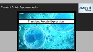 Transient protein expression ppt | PPT