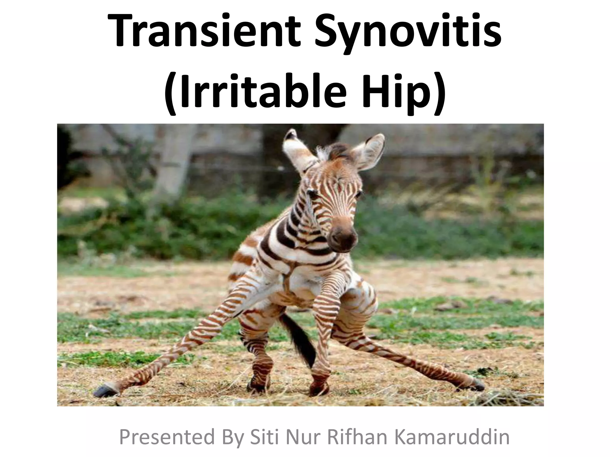 Transient Synovitis | PPTX