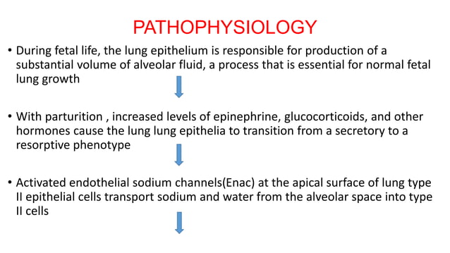 TRANSIENT TACHYPNEA OF NEWBORN.pptx | Pregnancy | Reproductive Health
