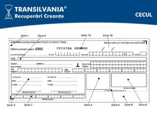 Transilvania recuperari creante instrumentele de plata | PDF