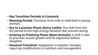 Transition.pptxeeeeeeeeeeeeeeeeeeeeeeeee | PPT