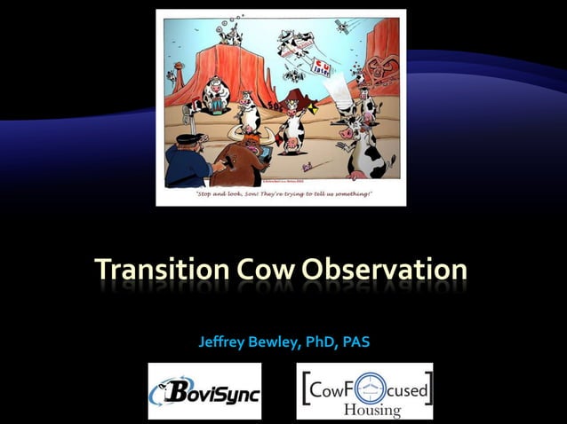 Transition Cow Observation | PPTX
