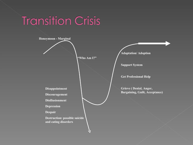 Transition Adjustment2 | PPT