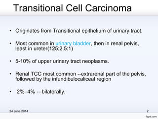 Transitional cell carcinoma | PPTX