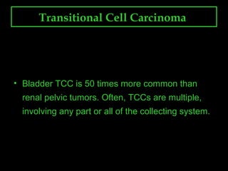 Transitional cell carcinoma | PPT