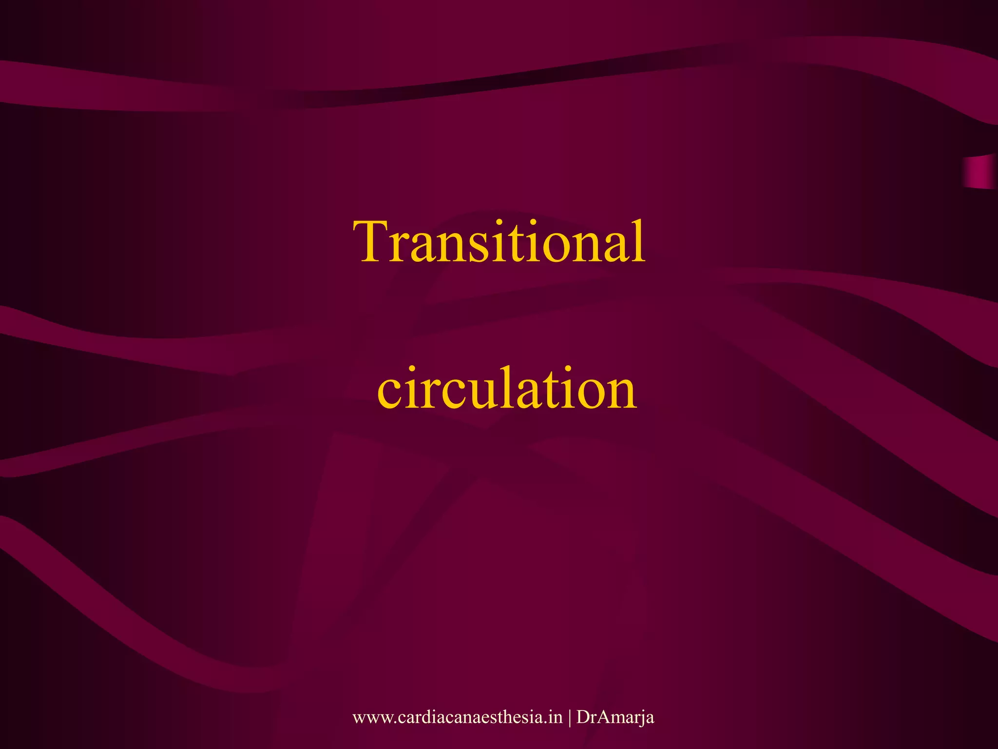 Transitional circulation | PPSX