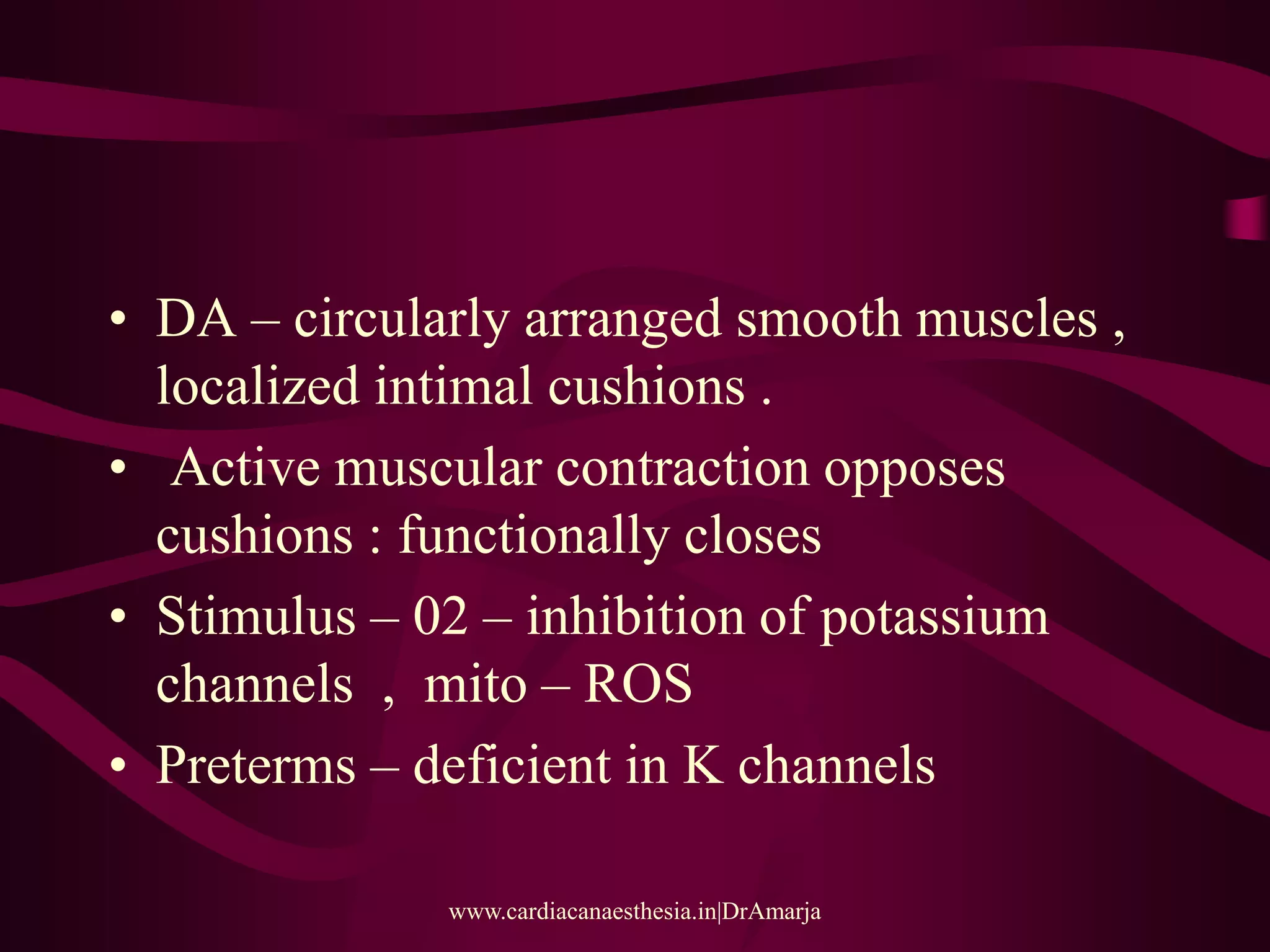 Transitional circulation | PPSX