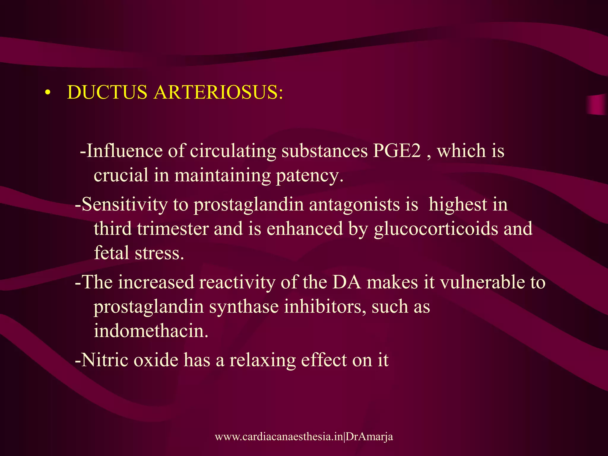 Transitional circulation | PPSX