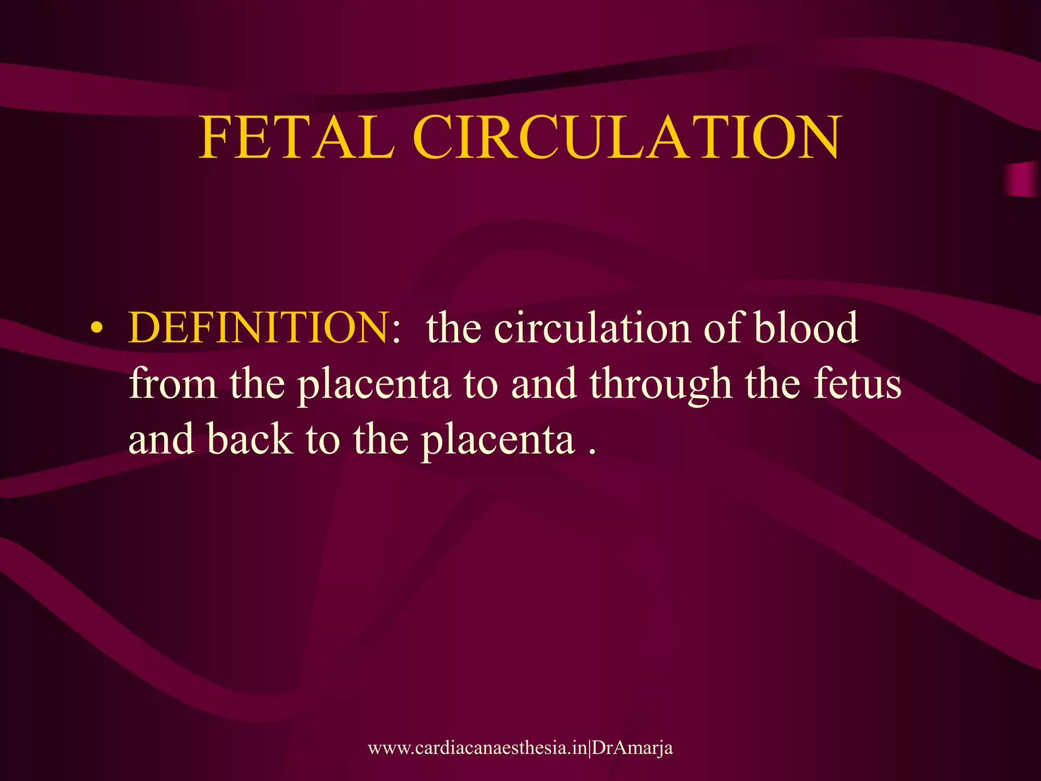 Transitional circulation | PPSX