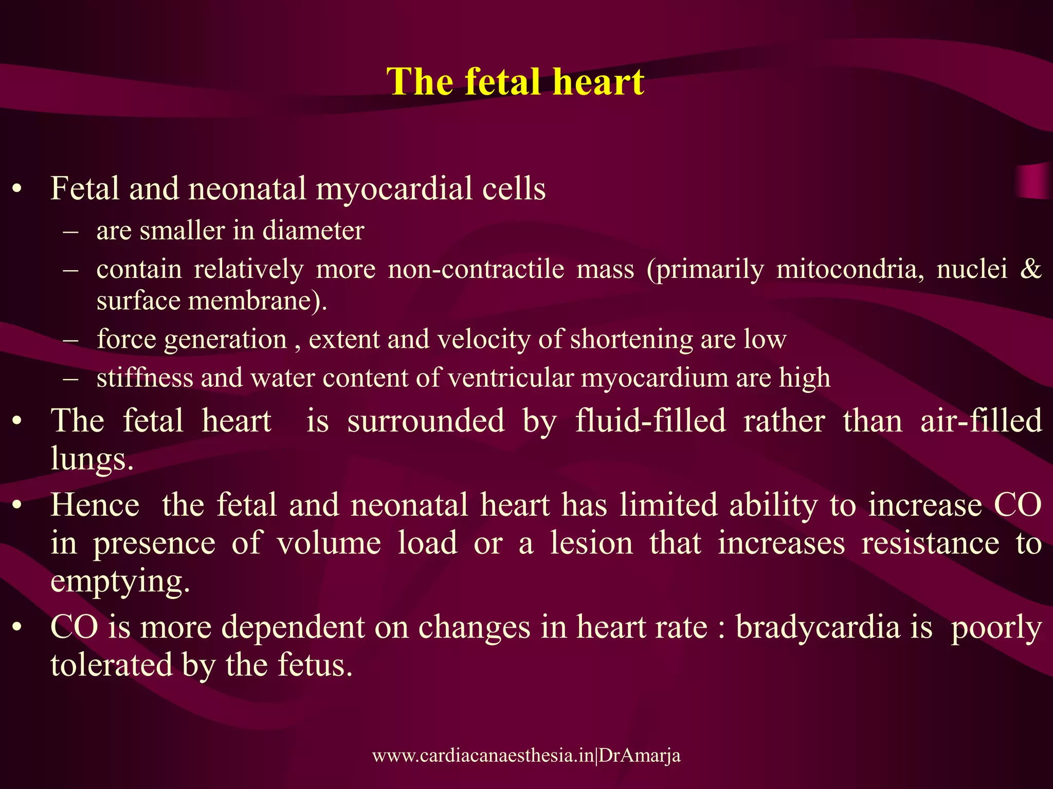 Transitional circulation | PPSX