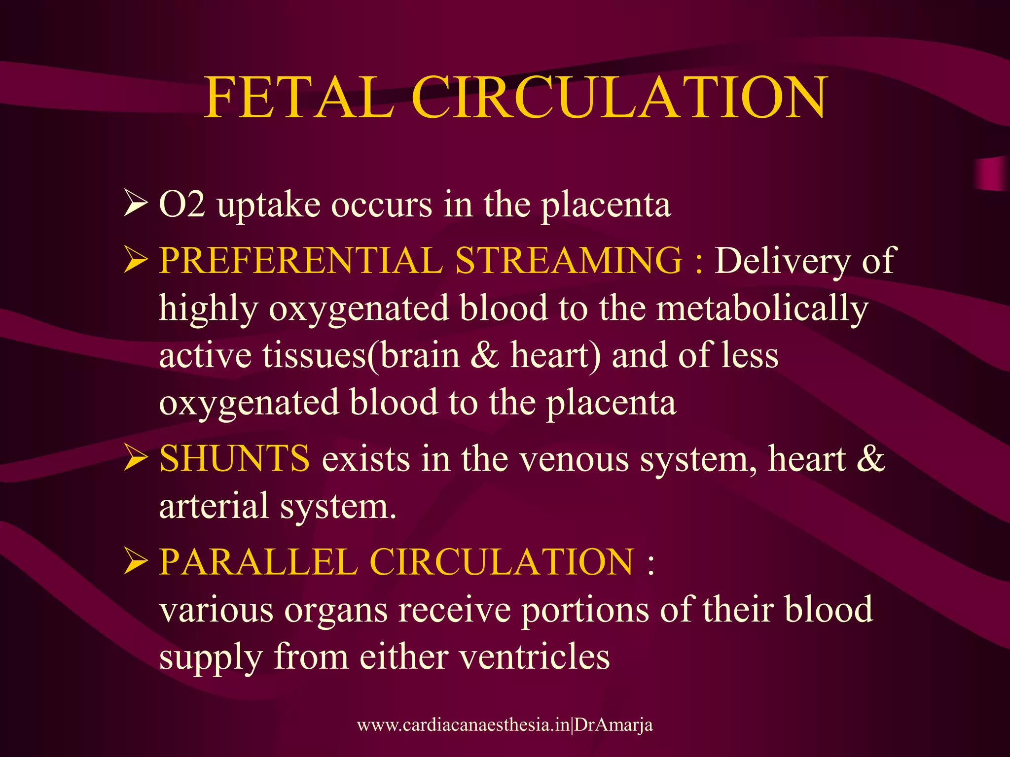 Transitional circulation | PPSX