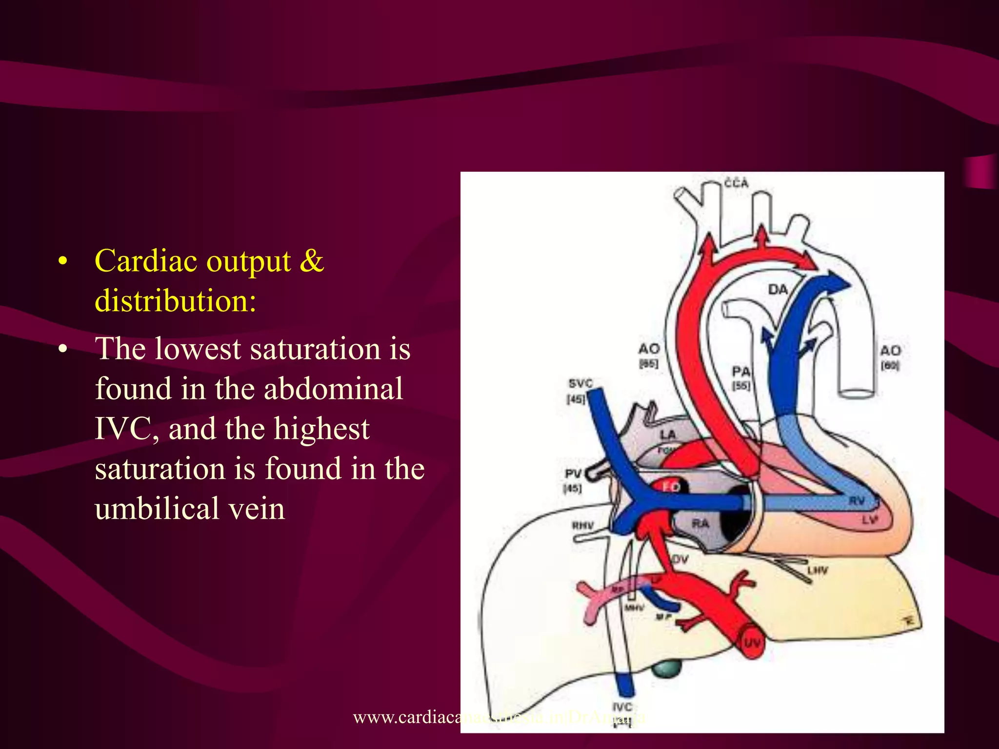 Transitional circulation | PPSX
