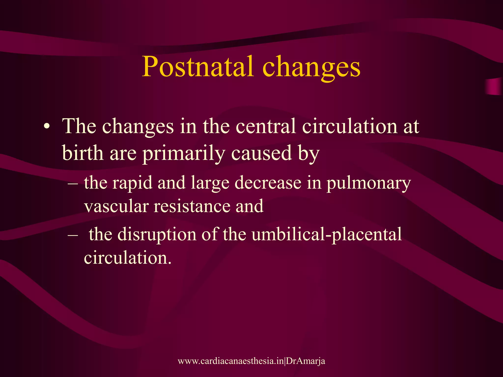 Transitional circulation | PPSX
