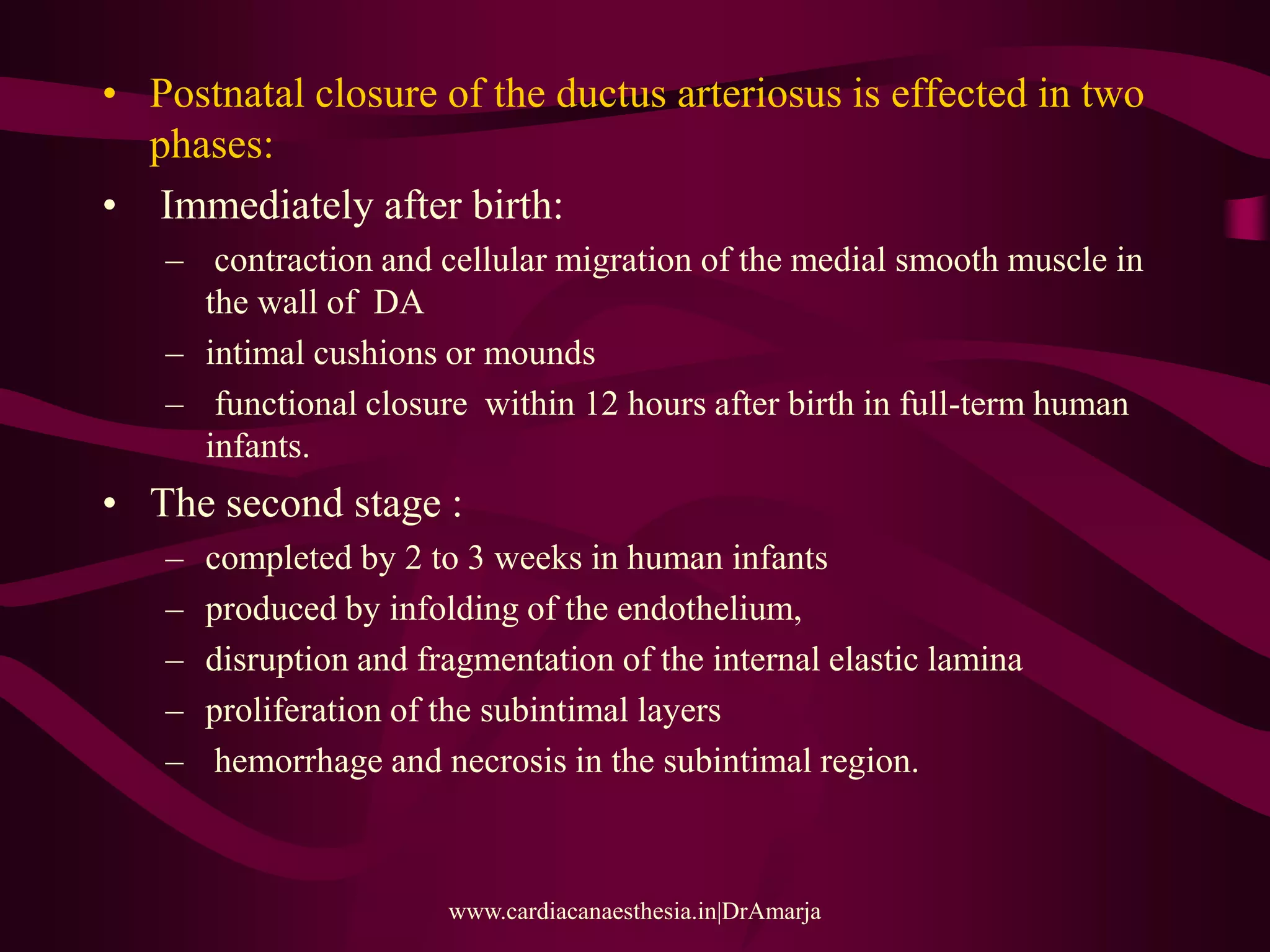 Transitional circulation | PPSX