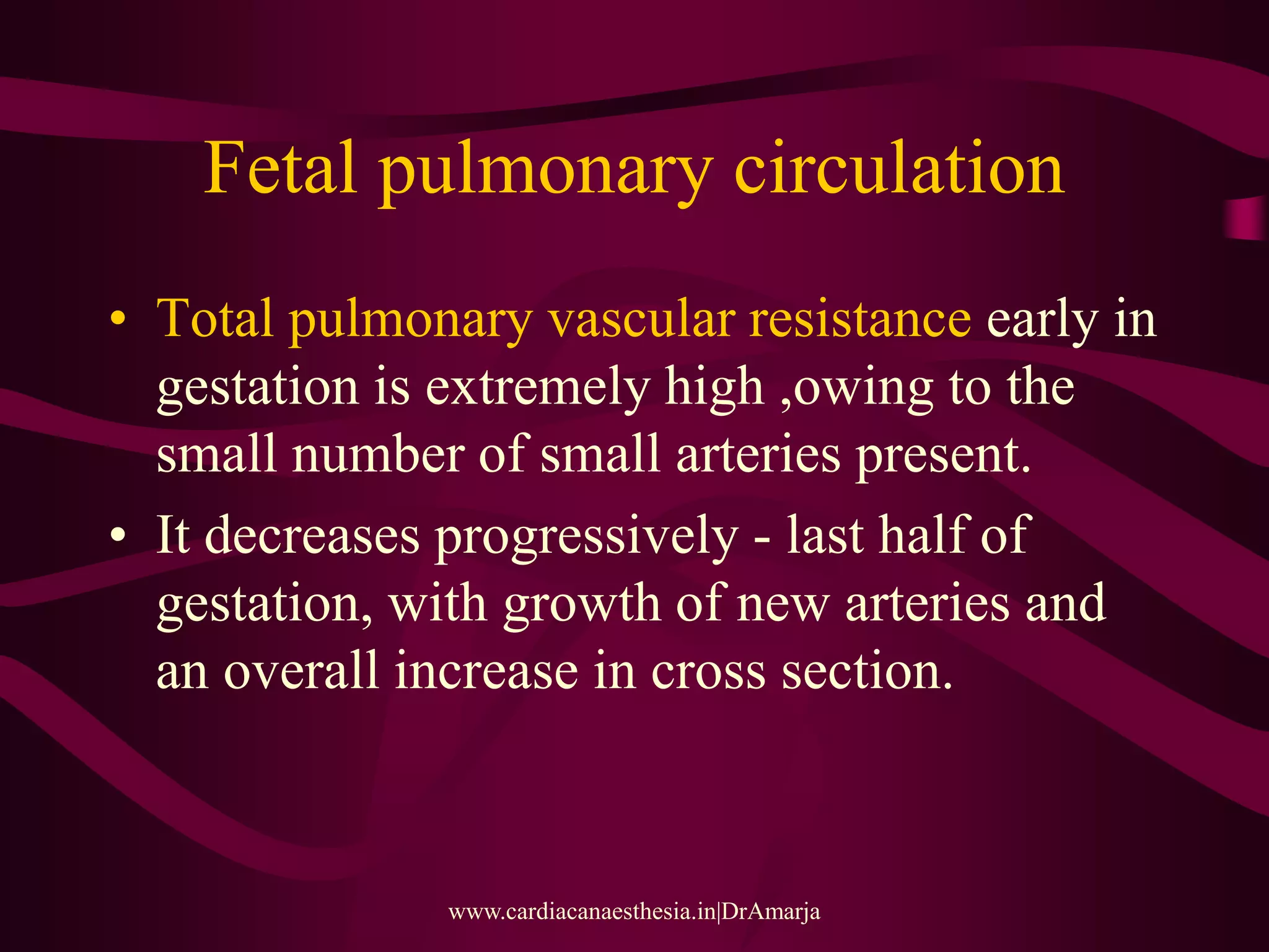 Transitional circulation | PPSX
