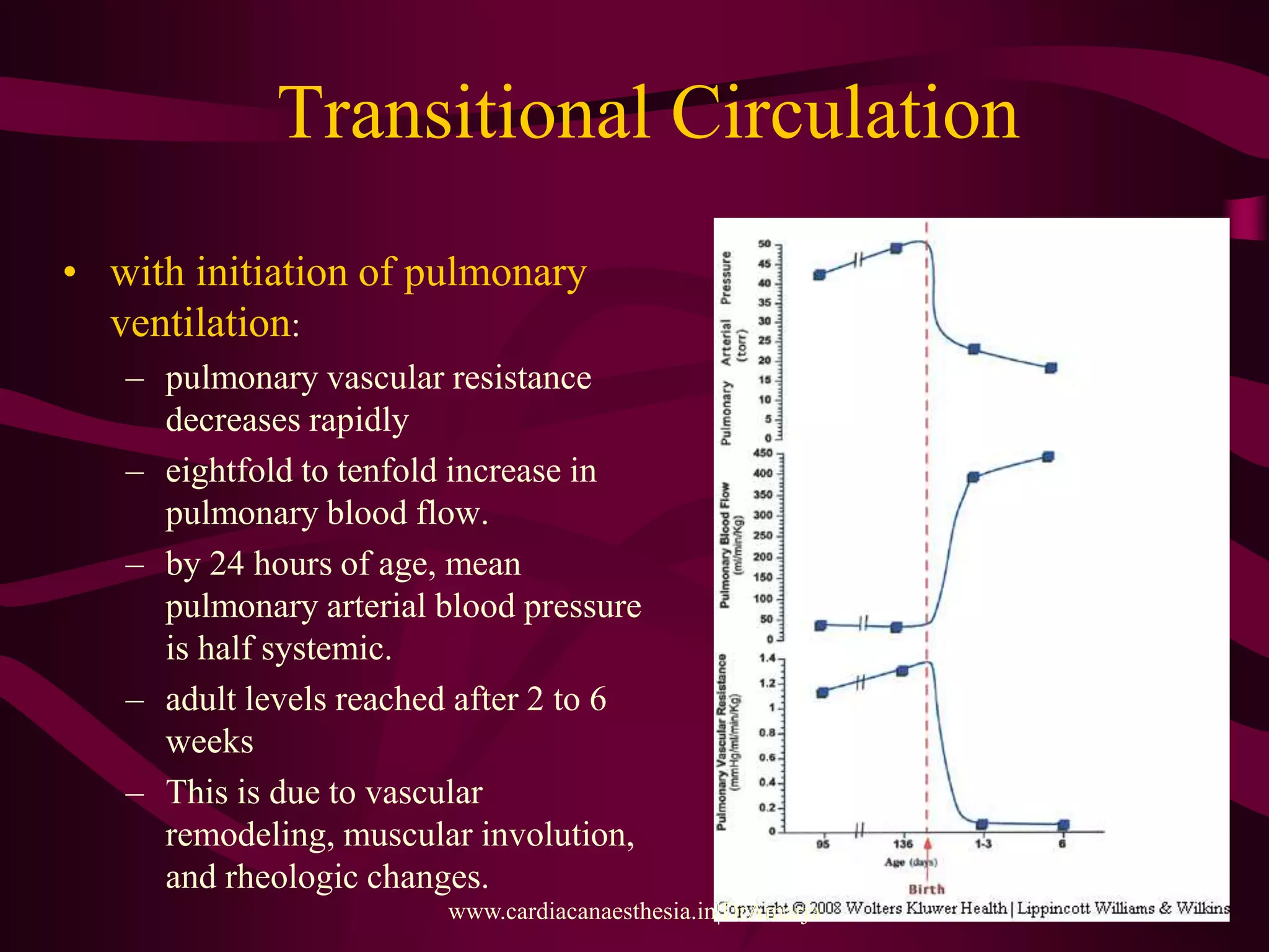 Transitional circulation | PPSX