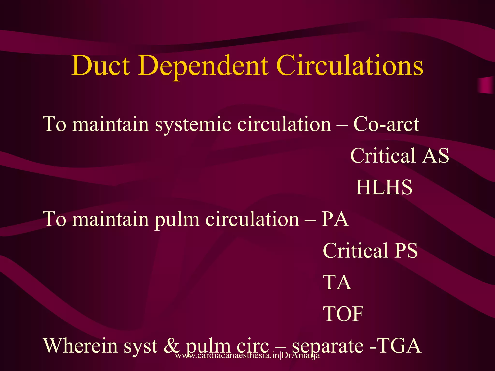 Transitional circulation | PPSX