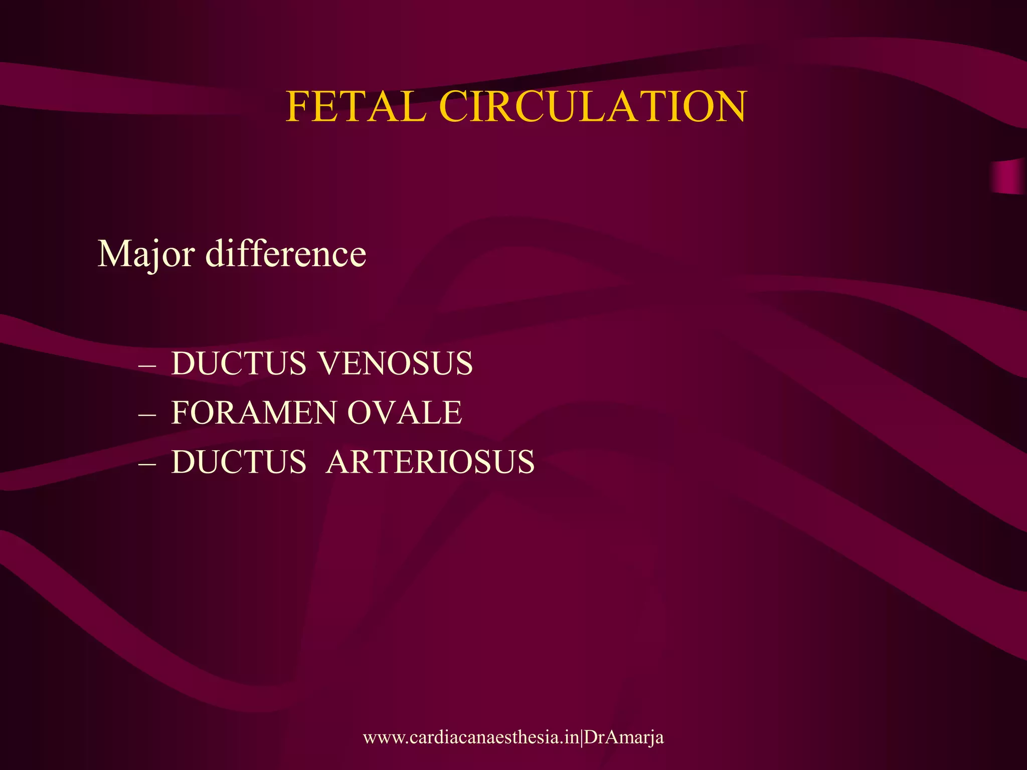 Transitional Circulation Ppsx