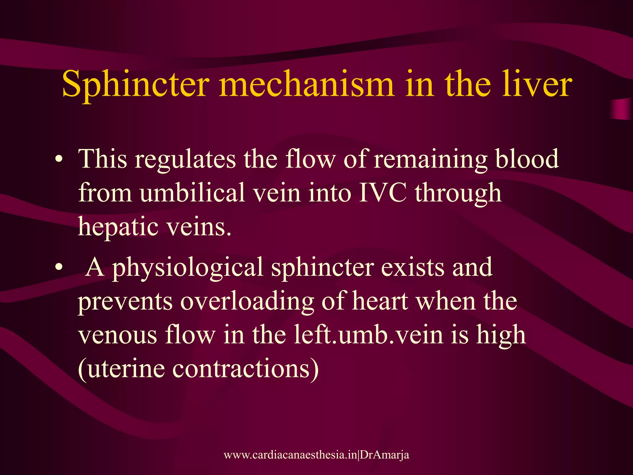 Transitional circulation | PPSX