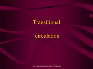 Transitional circulation | PPSX