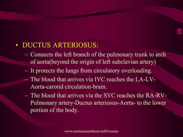 Transitional circulation | PPSX