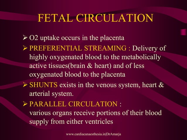 Transitional circulation | PPSX