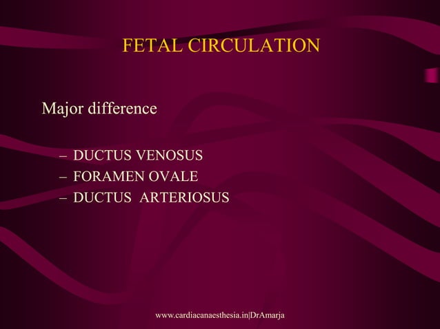 Transitional circulation | PPSX