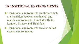 Transitional Environments | PPTX