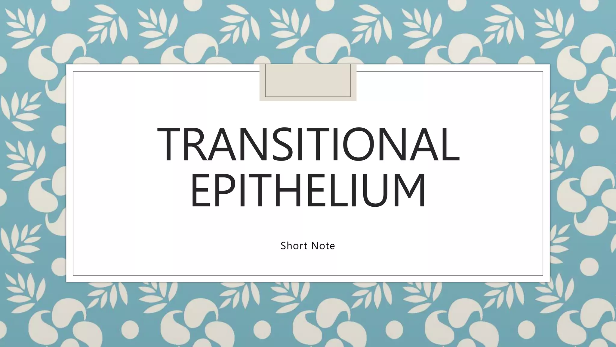 Transitional epithelium-SN.pptx