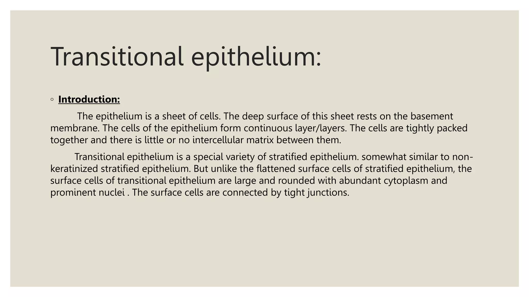 Transitional epithelium-SN.pptx