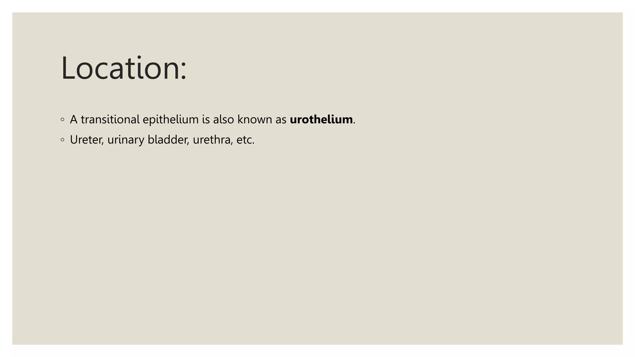 Transitional epithelium-SN.pptx