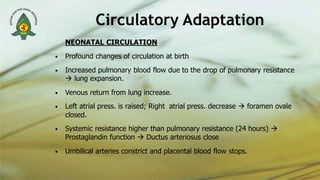 To T Transition at Birth for Health Care Workers.ppt