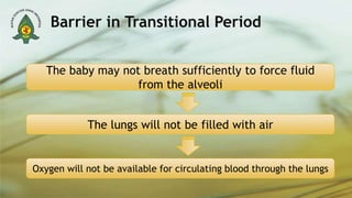 To T Transition at Birth for Health Care Workers.ppt