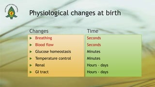 To T Transition at Birth for Health Care Workers.ppt