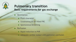To T Transition at Birth for Health Care Workers.ppt