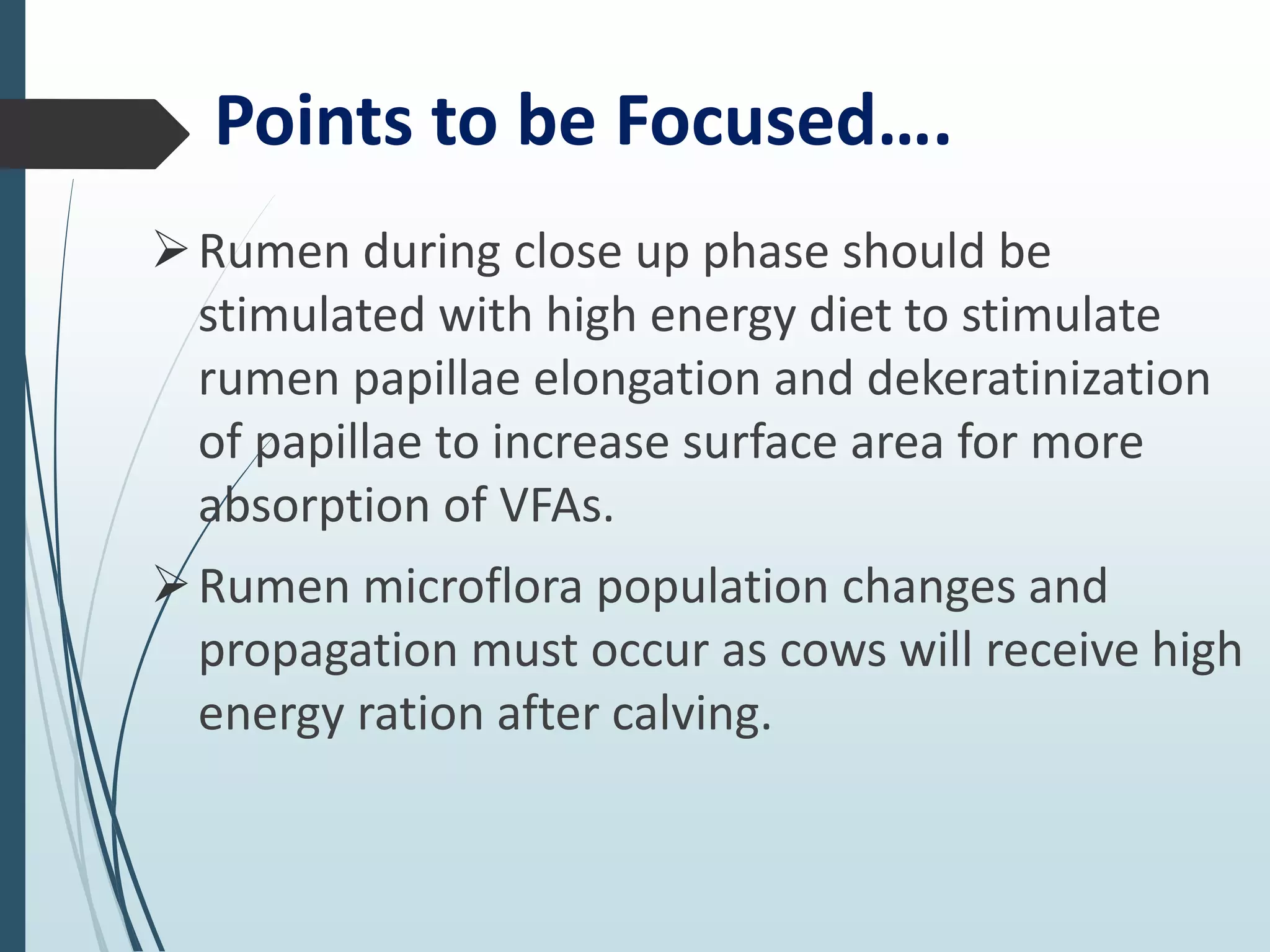 Transition cow management | PPTX